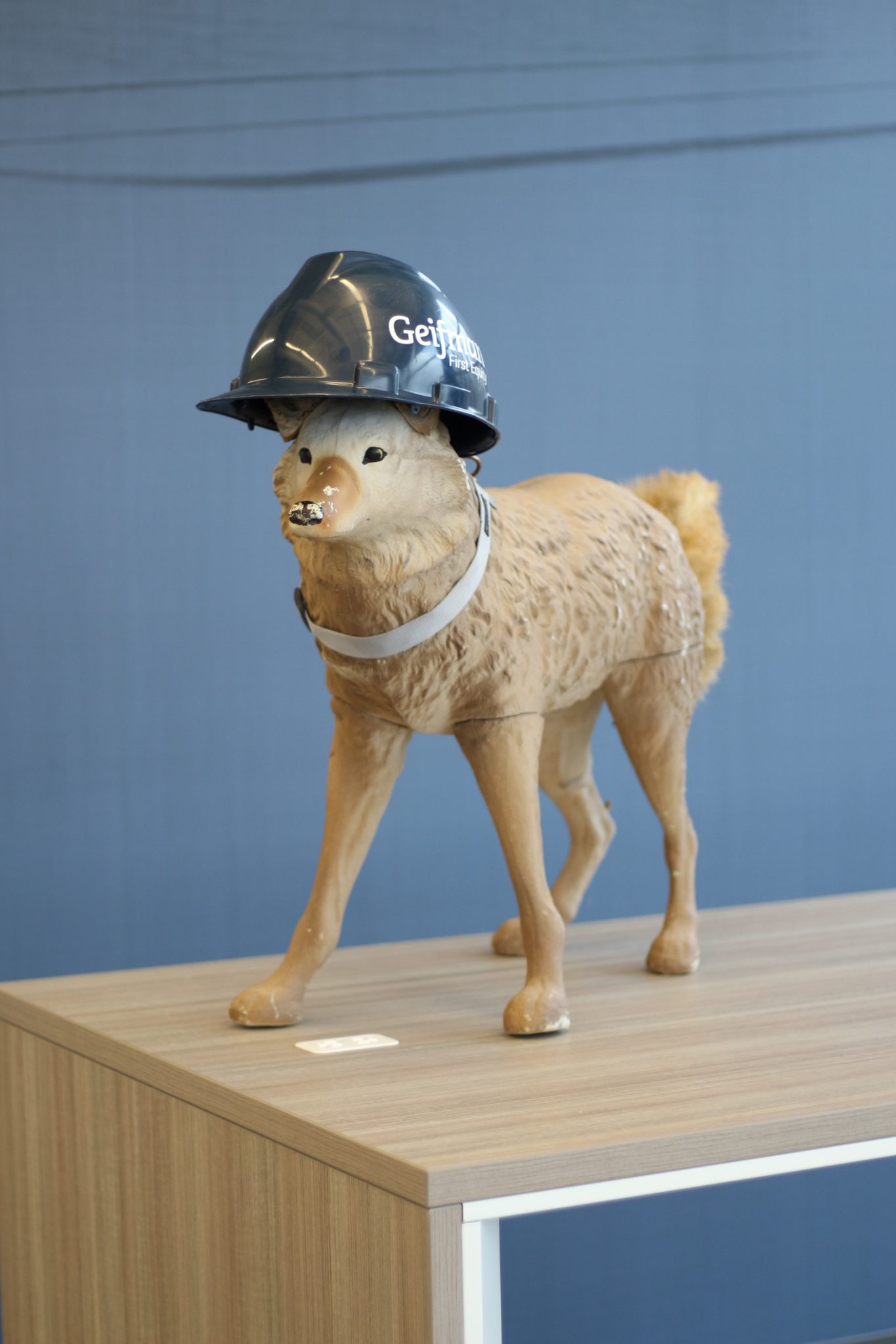 Meet the Team – Geifman Group